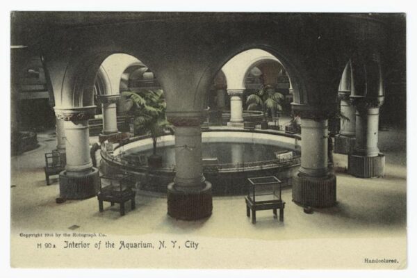 Castle Clinton - South Street Seaport Museum