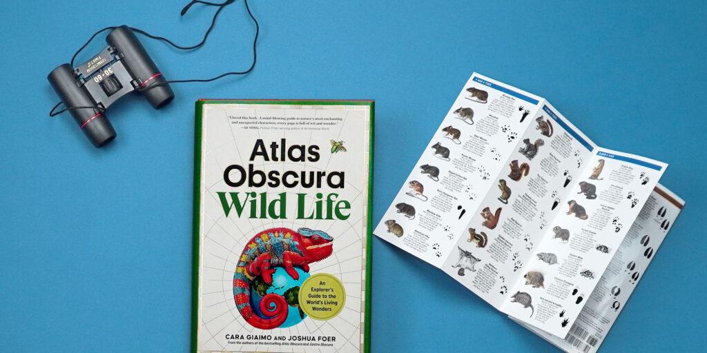 Wild Life: An Explorer's Guide to the World's Living Wonders - South ...